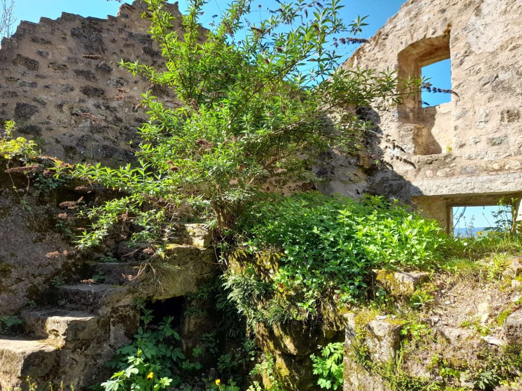 Histoire du Caylar - Village du Caylar en Larzac